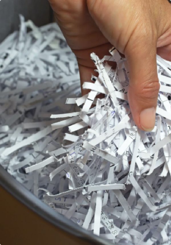 Shredding Leamington Spa - Squab Shredding